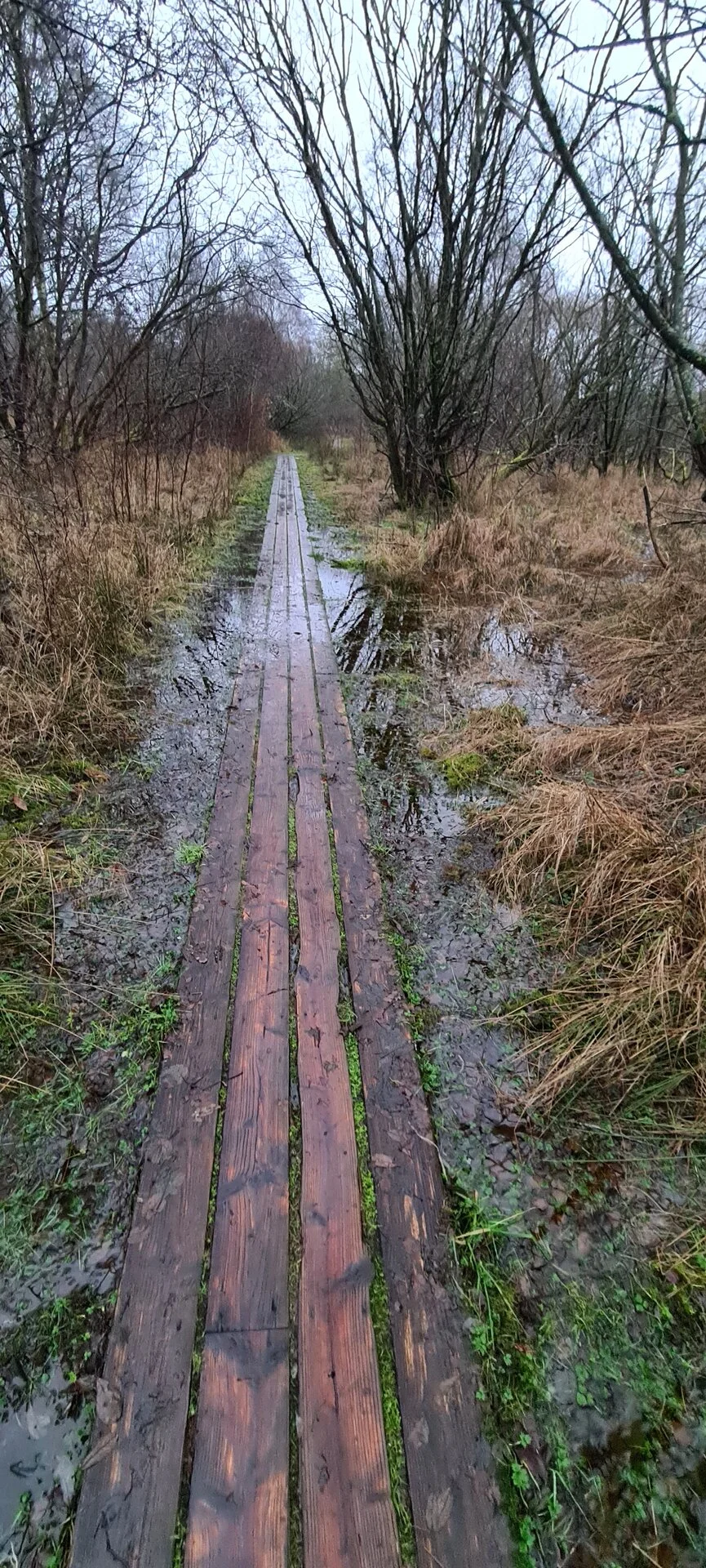 Almost had a breakdown, but got chocolate in the end. | Asperger's & Autism Forum