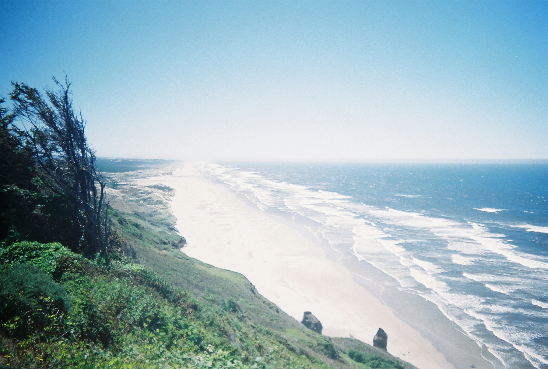 Asperger's & Autism Forum