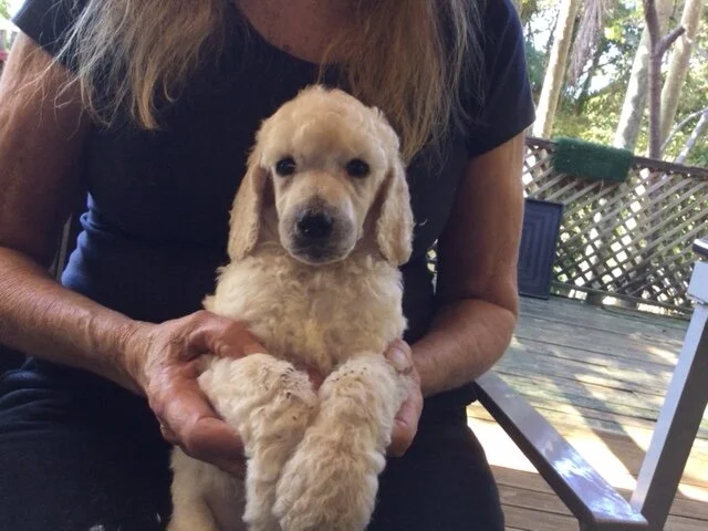 DavidJSNSW on autism | Asperger's & Autism Forum