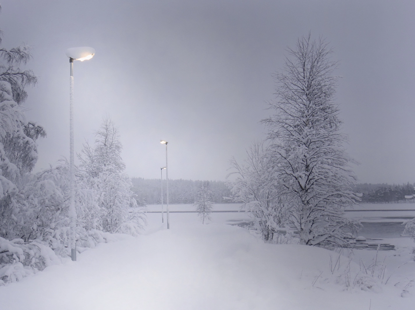 Life from my view | Asperger's & Autism Forum