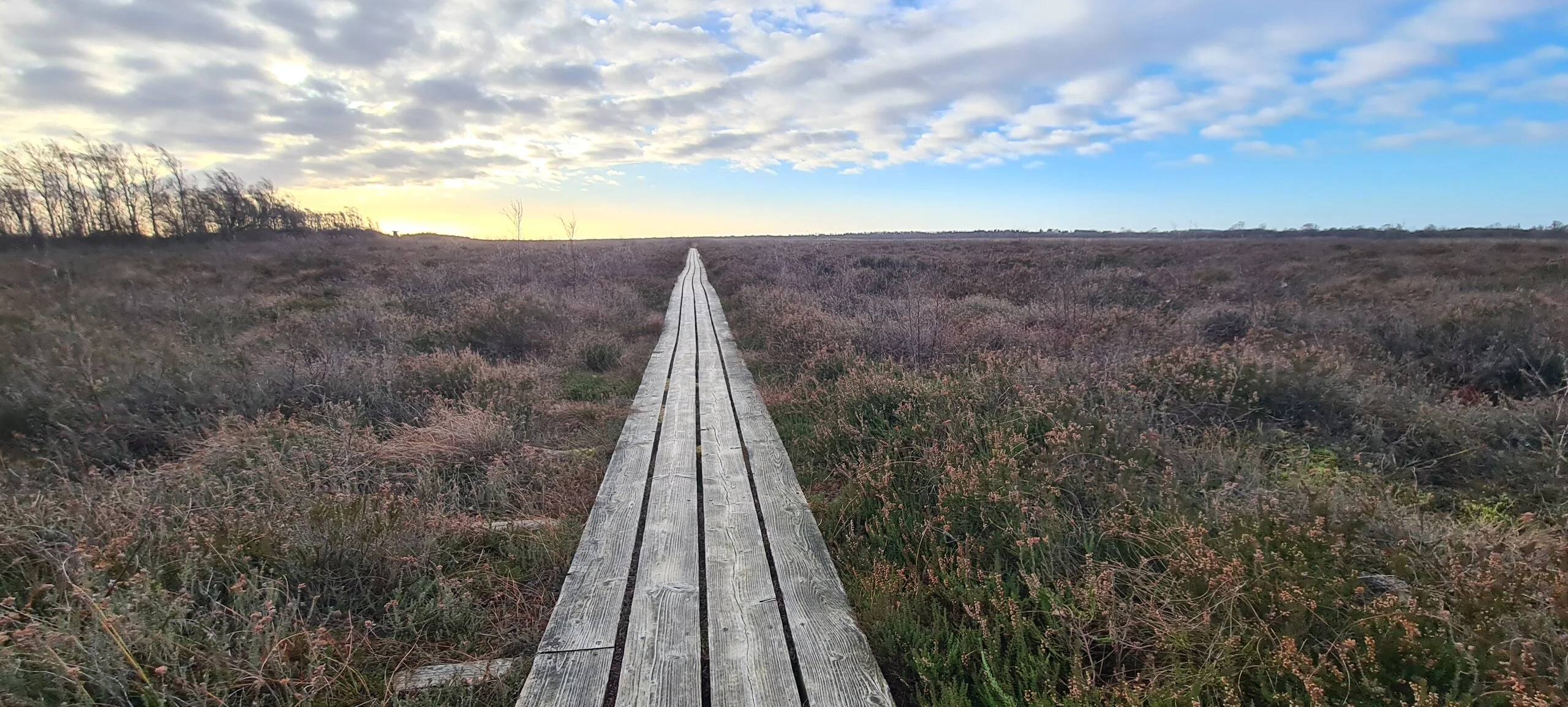 Walks | Autism Forums