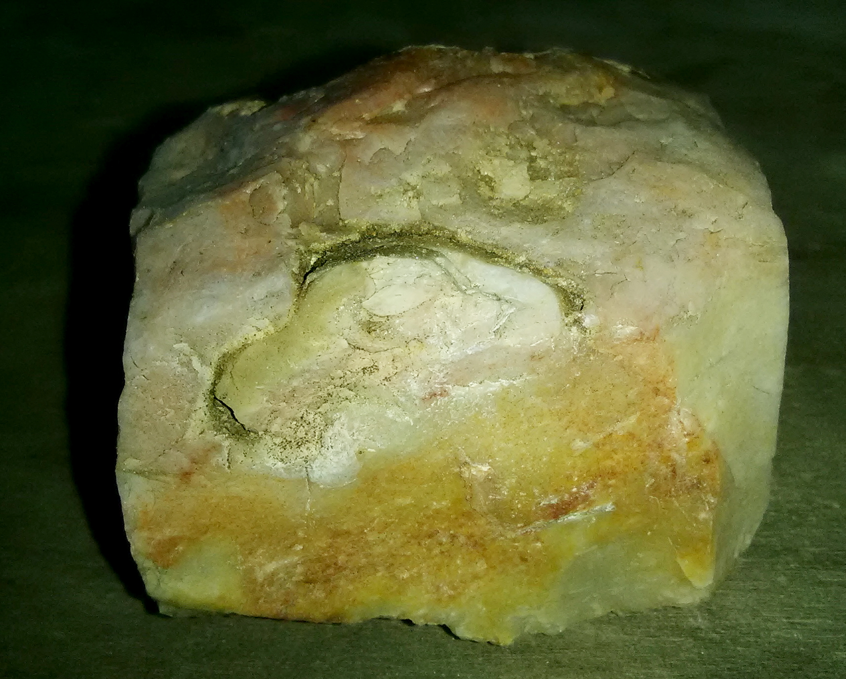 Metamorphic Chert With Fossils 01 | Asperger's & Autism Forum